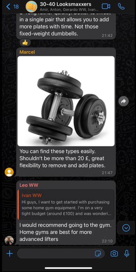 Looksmaxx – Rate by Waffles