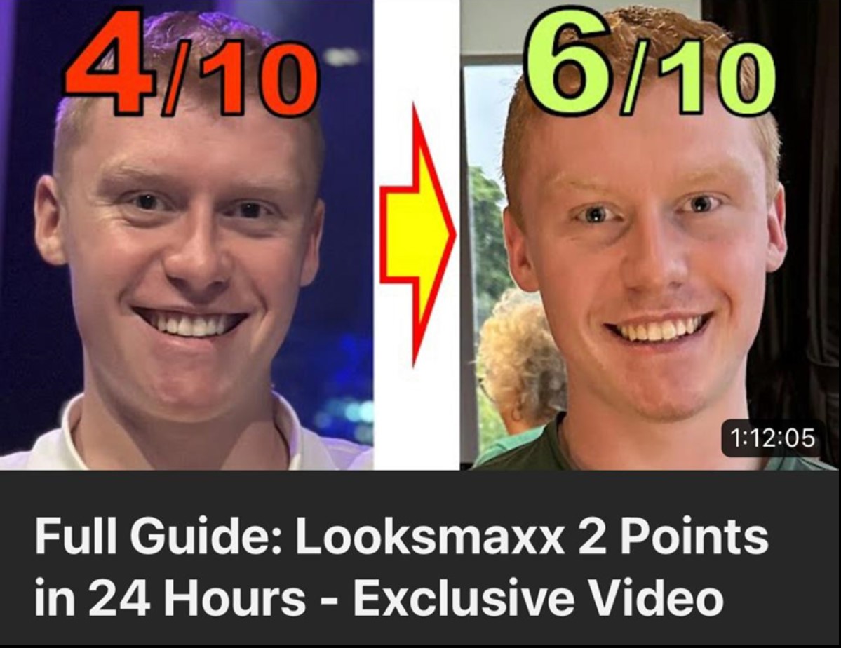 Looksmaxx 24 Hours – Rate by Waffles